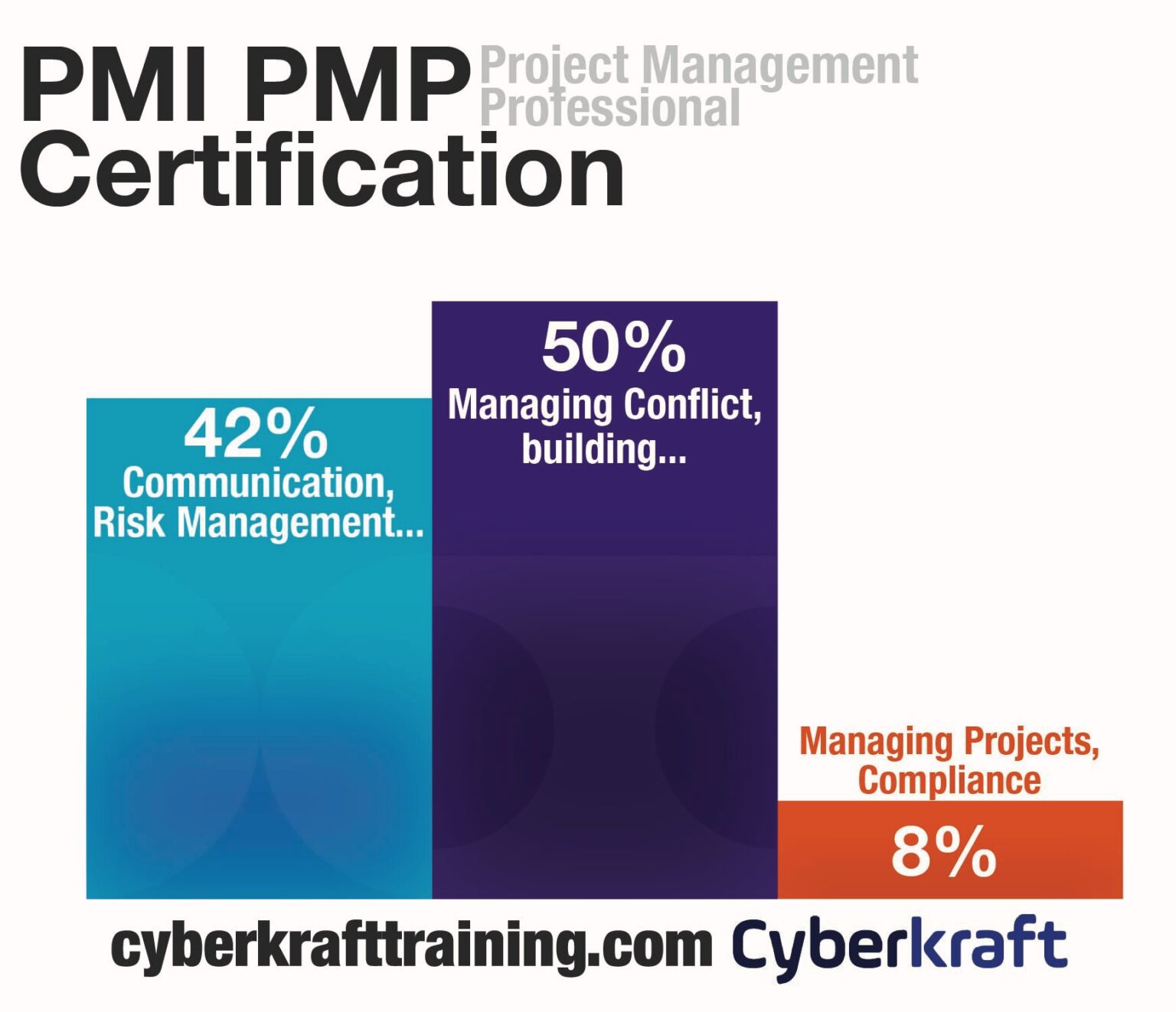 PMI CAPM and PMP: Your Key to Your Career in Project Management